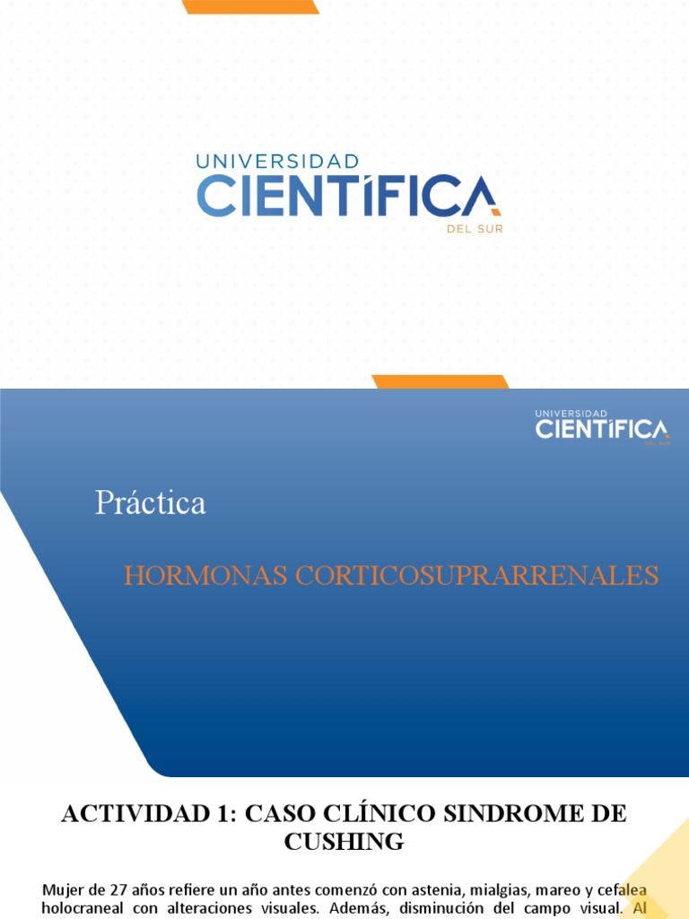 Fisiologia Practica 6 Semana 3 - Morfo IV | PDF