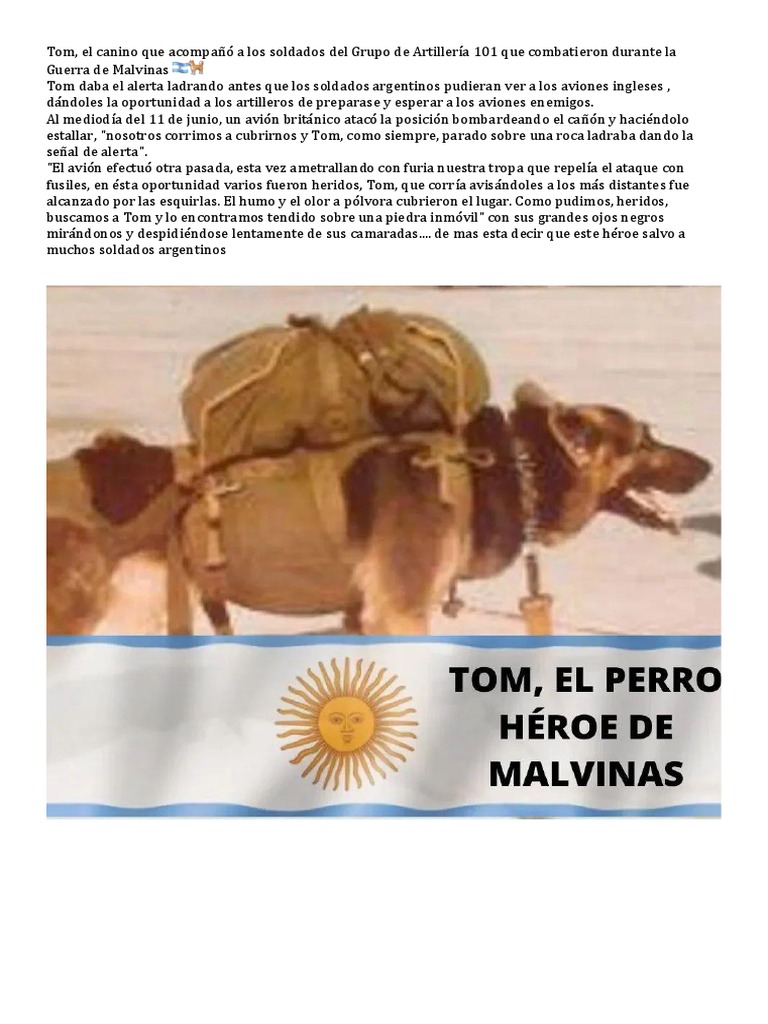 Tom, el héroe canino de Malvinas | PDF