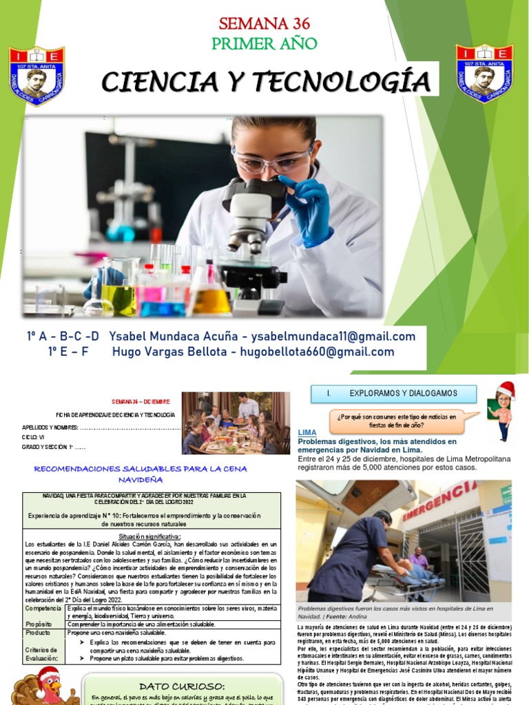 CT 1° Semana 36 | PDF | Alimentos | Digestión