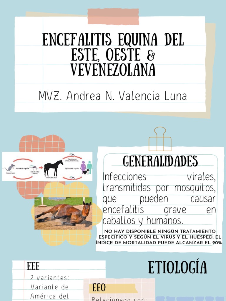 Encefalitis Equina: Tipos y Tratamientos | PDF | Virus | Causas de la ...