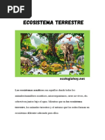 Triptico Ecosistema Terrestre | PDF | Ecosistema | Suelo