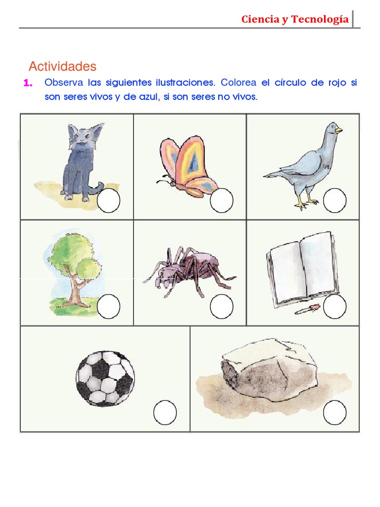 SERES VIVOS Y NO VIVOS | PDF