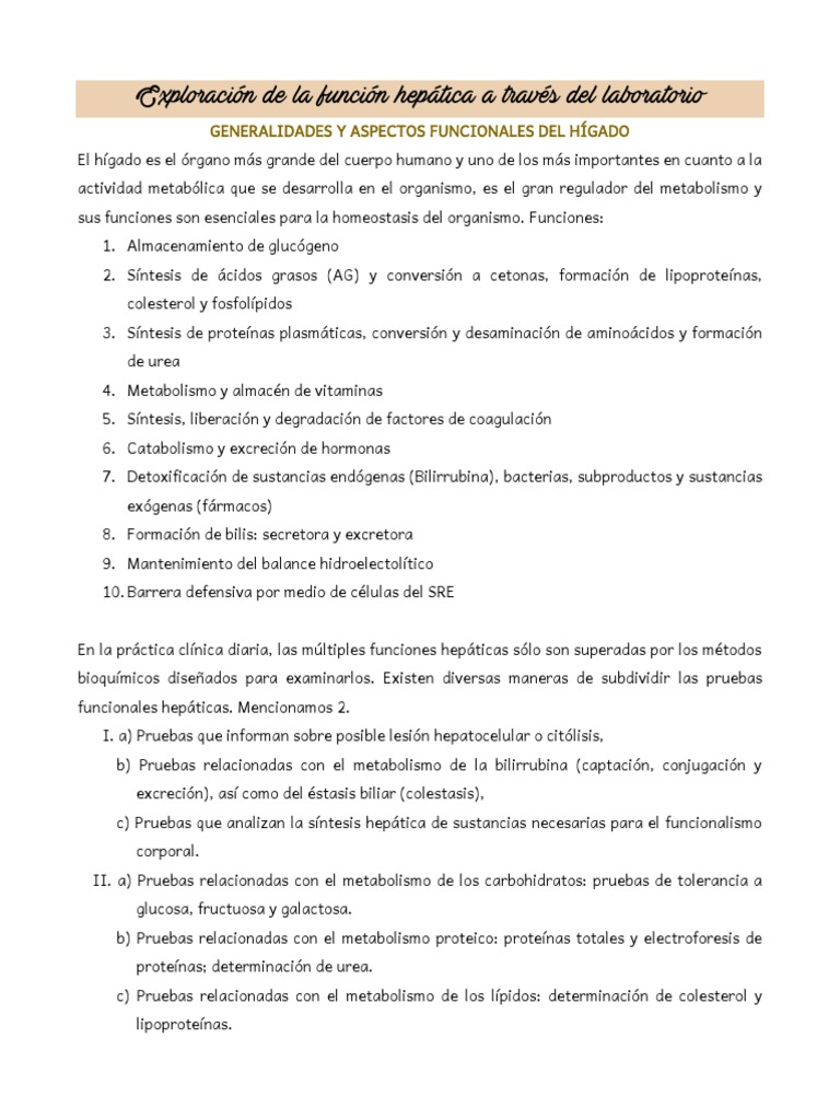 Exploración de La Función Hepática A Través Del Laboratorio | PDF ...