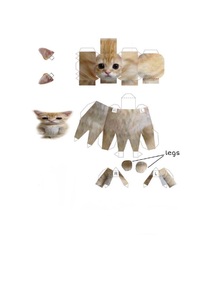 Plantilla de Momichi Gato Meme | PDF