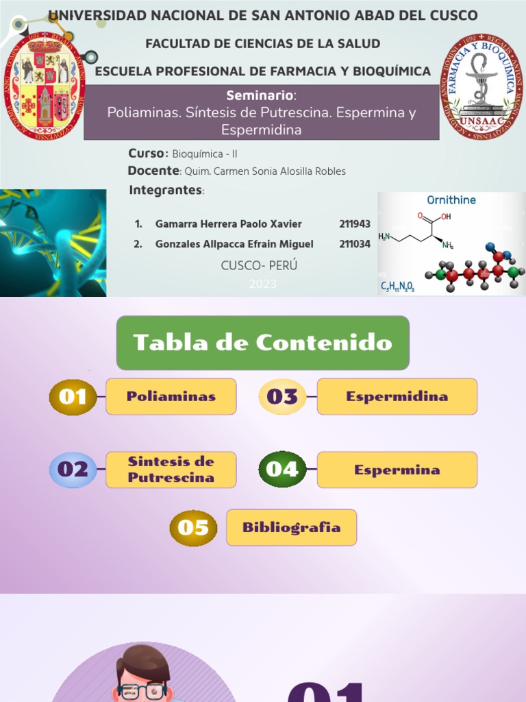 Poliaminas, biosíntesis de putrescina, espermina, espermidina (1) | PDF ...