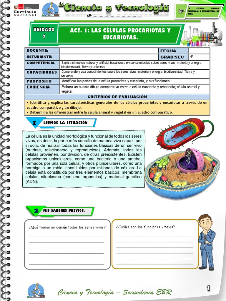 A-4º Act 1-Cyt-Und 2 - Sem 1 | PDF | Biología Celular) | Organismos