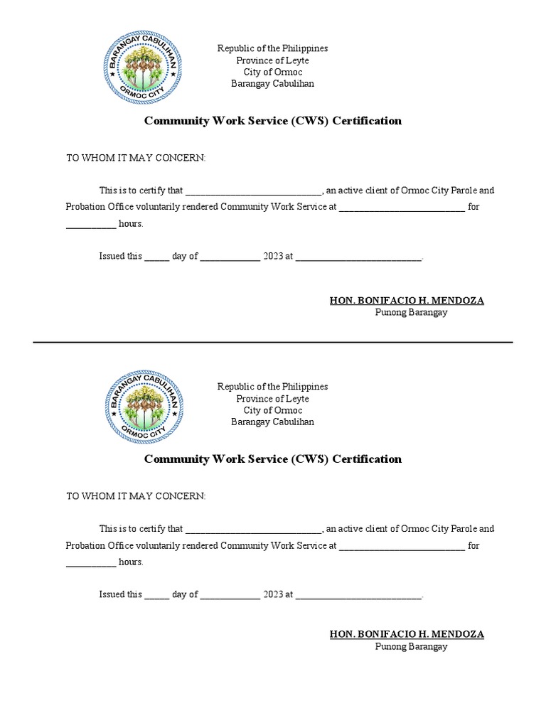 CERTIFICATE of CommunityWorkService - 2023 | PDF