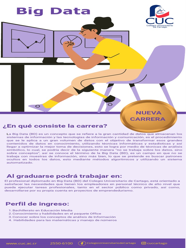 Plan de Estudios Big Data 2 | PDF | Big Data | Procesamiento de datos