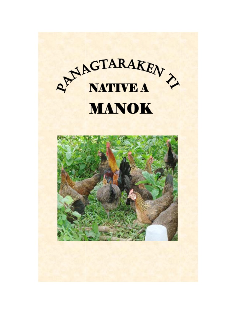 Native Chicken Farming Guide | PDF
