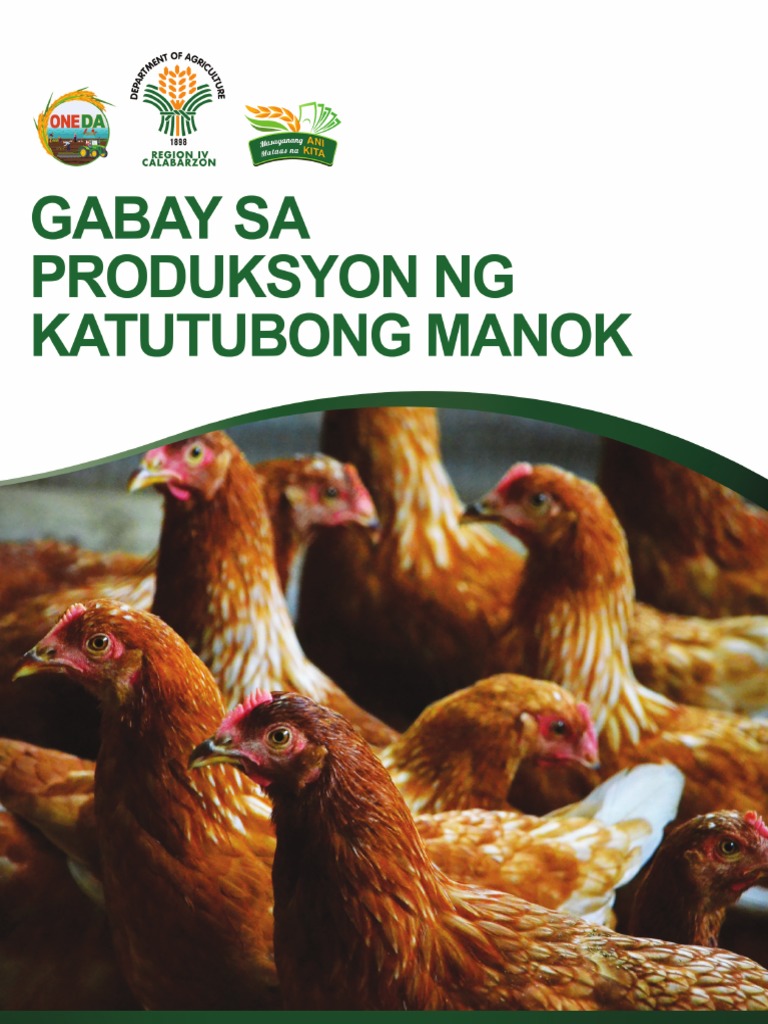 Gabay Sa Produksyon NG Katutubong Manok | PDF
