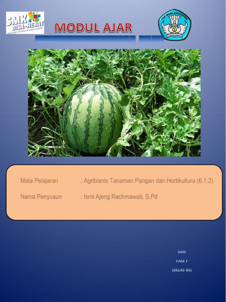 Modul Ajar Agribisnis Tanaman Pangan Dan Hortikultura - Pemupukan Tanaman Buah - Fase F | PDF