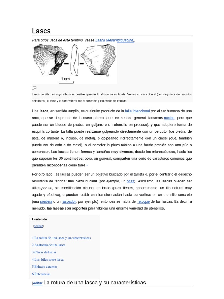 Definición y características de las lascas | PDF | Edad de Piedra ...