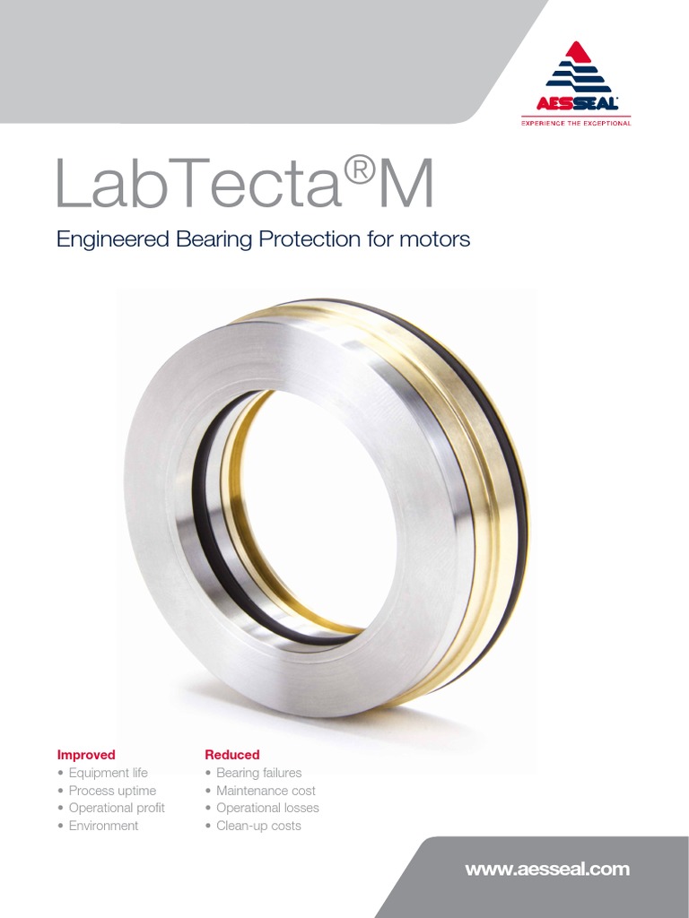 Labtec Ta Motor | PDF | Bearing (Mechanical) | Electric Motor