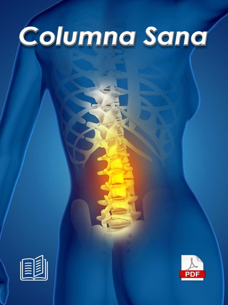 Columna Sana | PDF | La columna vertebral | Vértebra