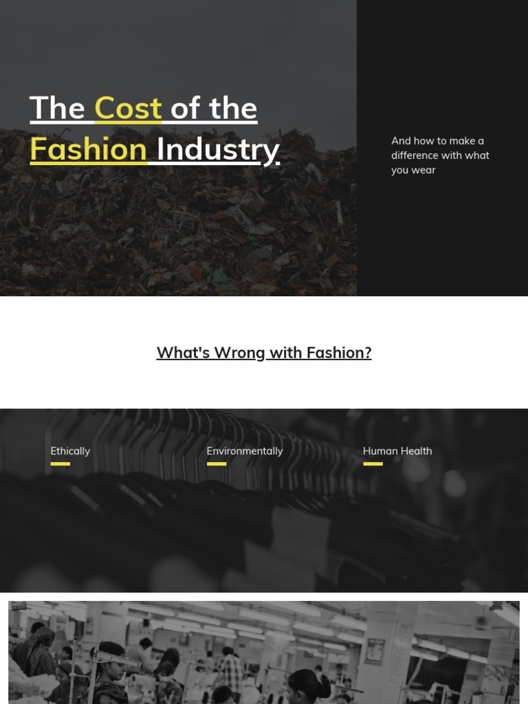 The Cost of The Fashion Industry | PDF