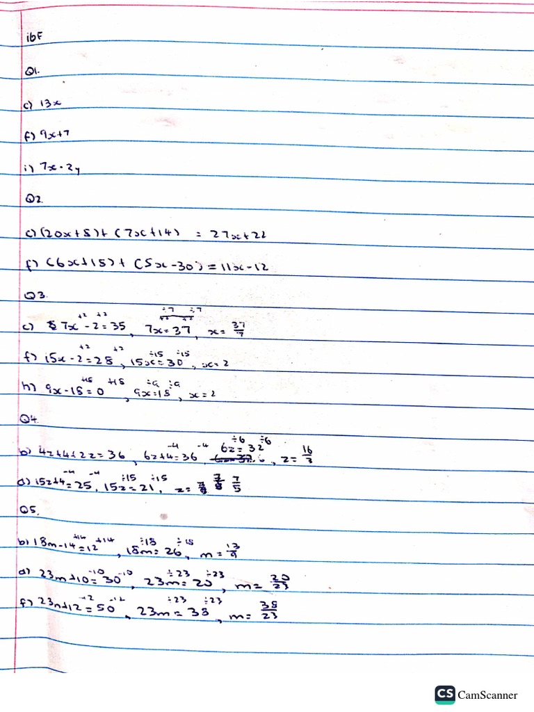 Math Essential | PDF