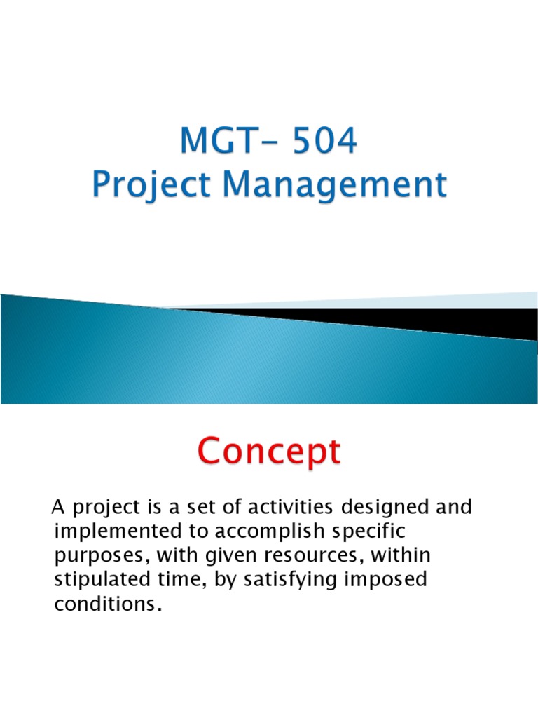 Understanding Project Management Basics | PDF