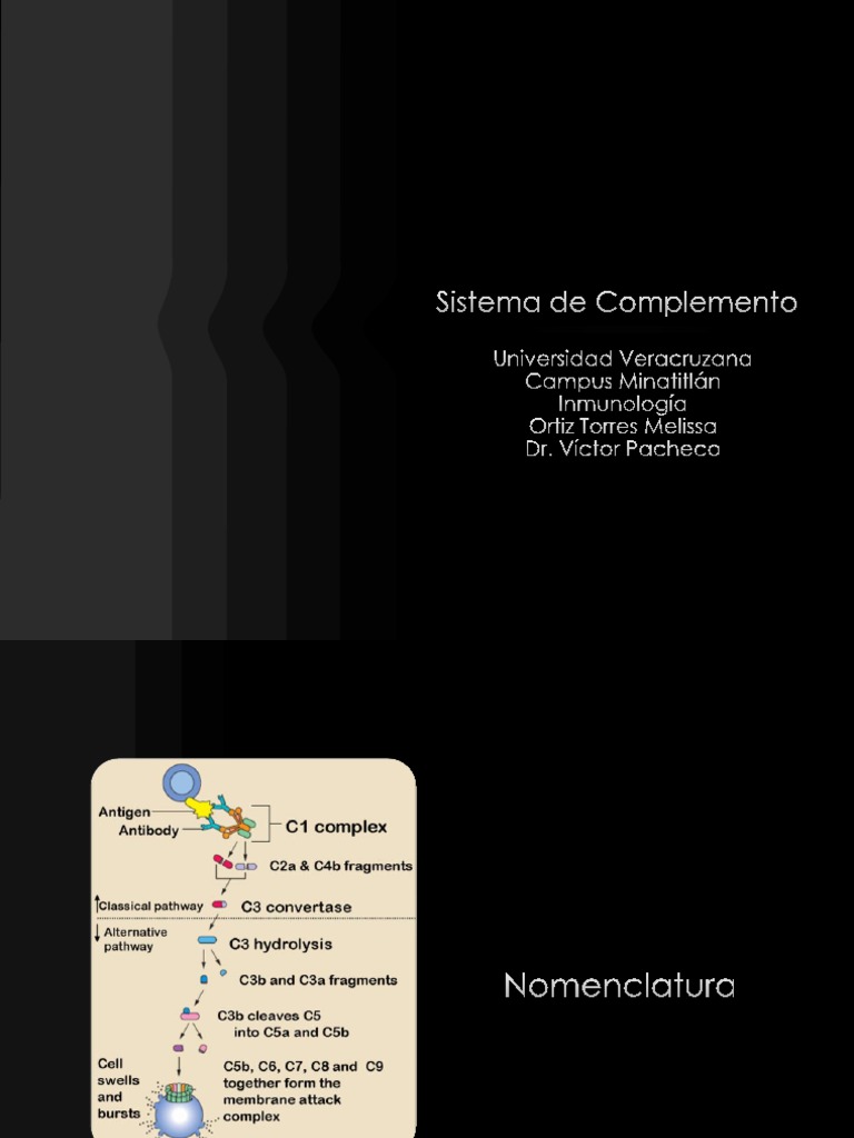 Sistema de Complemento | PDF | Sistema complementario | Anticuerpo
