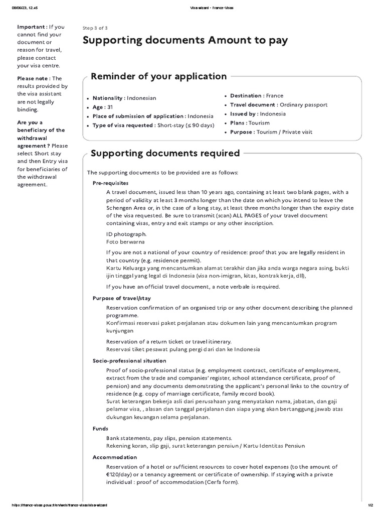 Visa Wizard - France-Visas | PDF | Travel Visa | National Security