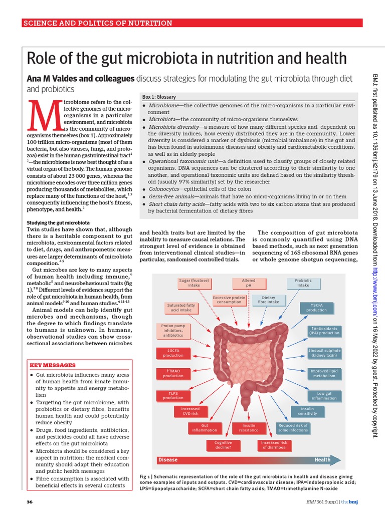 Role of The Gut Microbiota in Nutrition and Health | PDF | Dietary ...