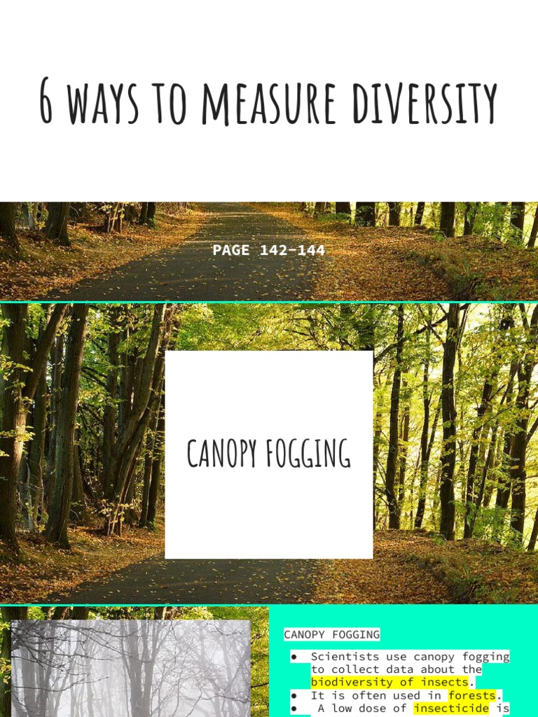 6 Ways To Measure Diversity | PDF