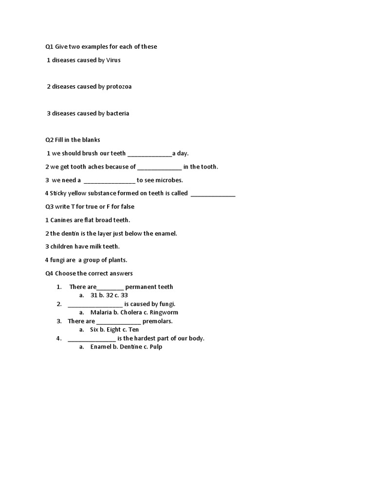 Teeth and Microbes | PDF