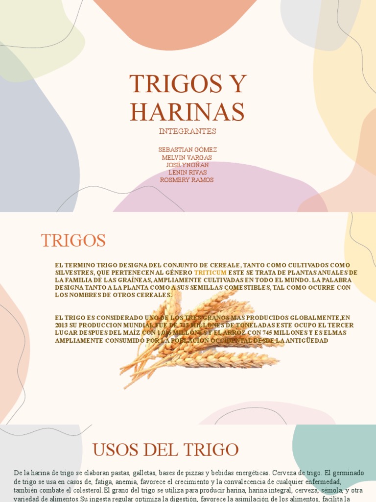 Trigos y Harinas | PDF | Trigo | Cereales