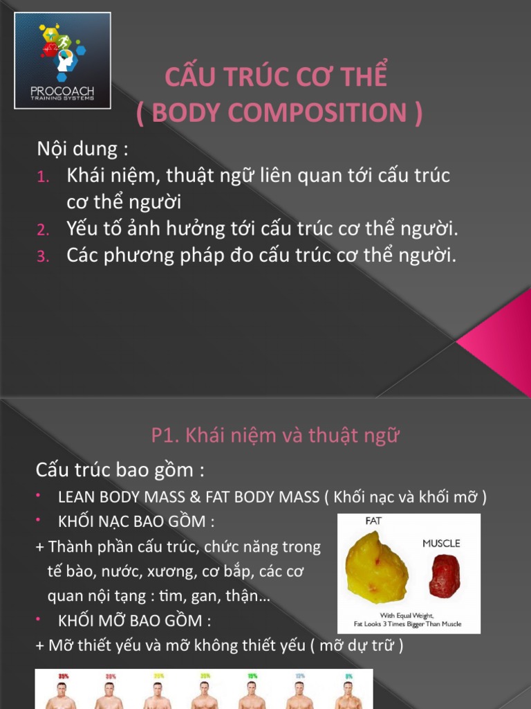 [Slide] ALL ABOUT BODY COMPOSITION | PDF