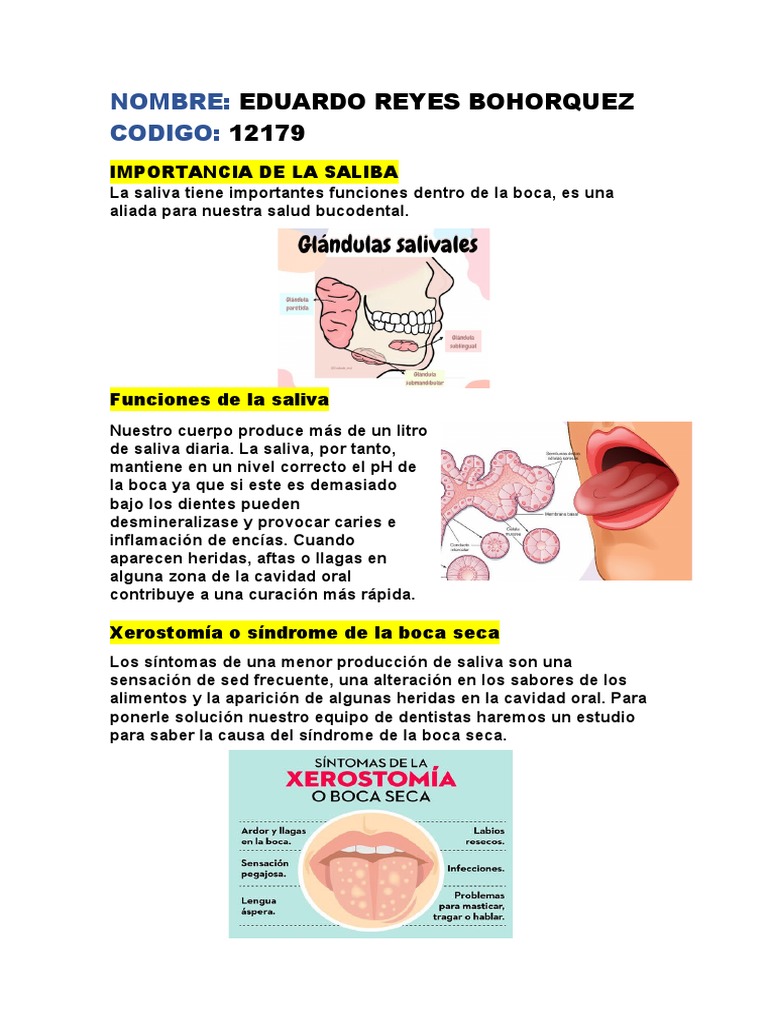 Importancia de La Saliva | PDF