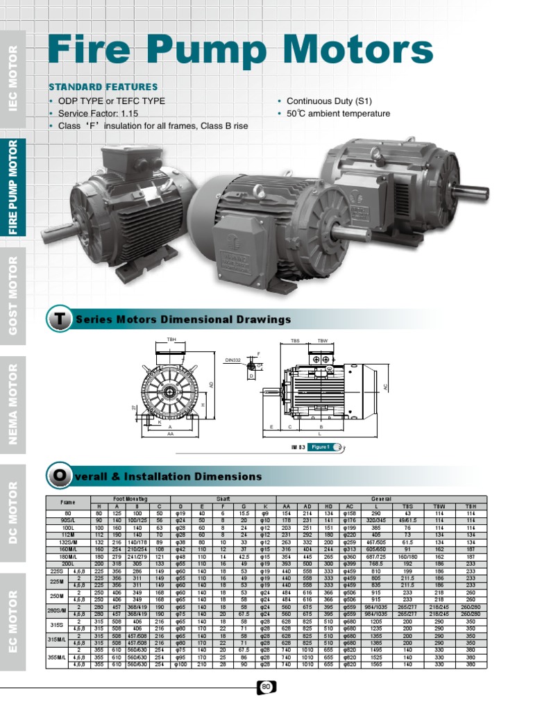 Techtop Fire Pump Motors Data | PDF