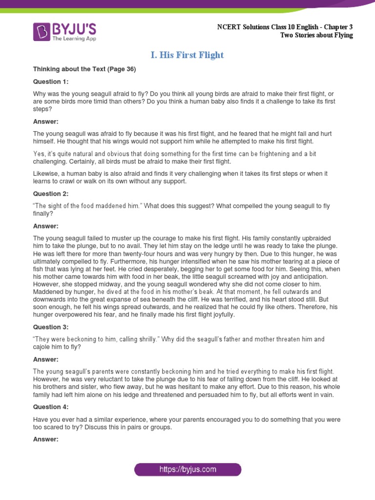 NCERT Solutions For Class 10 English First Flight Chapter 3 Two Stories ...