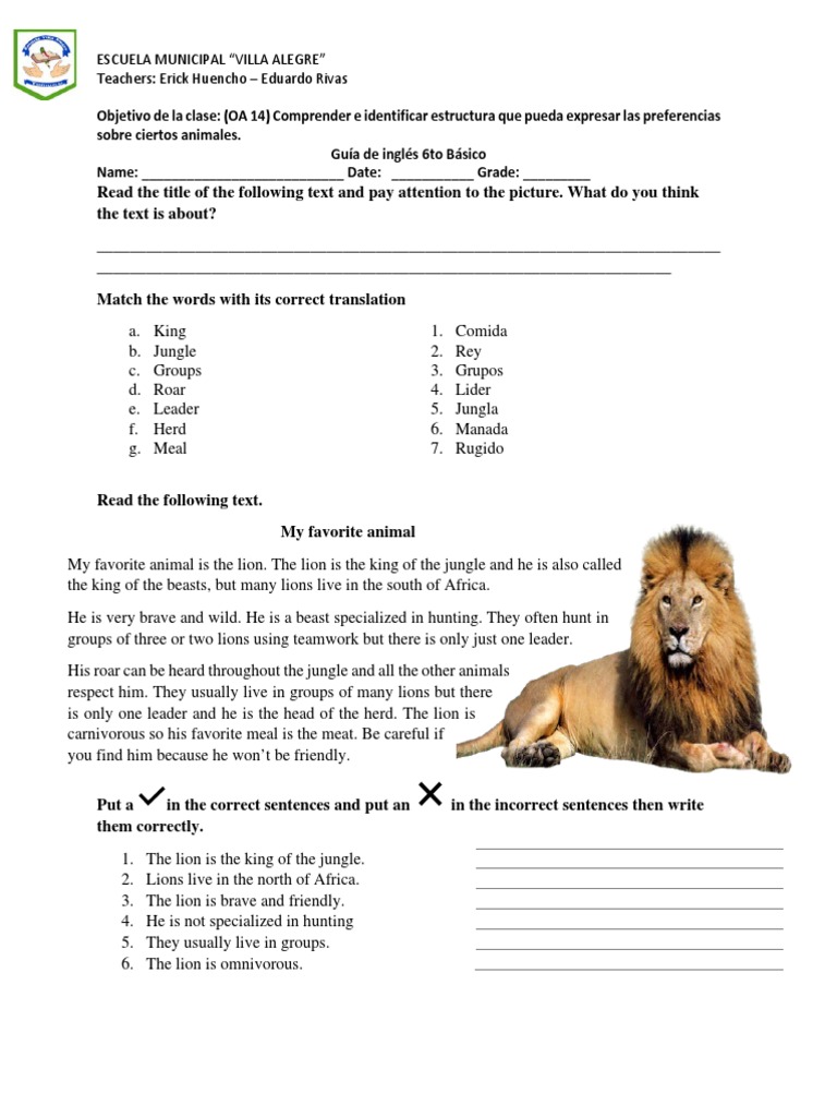 Clase 3 Writing My Favorite Animal 6to Basico | PDF