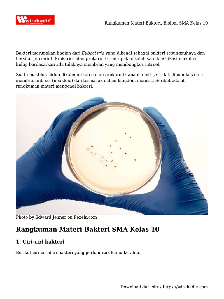 Rangkuman Materi Bakteri, Biologi SMA Kelas 10 | PDF