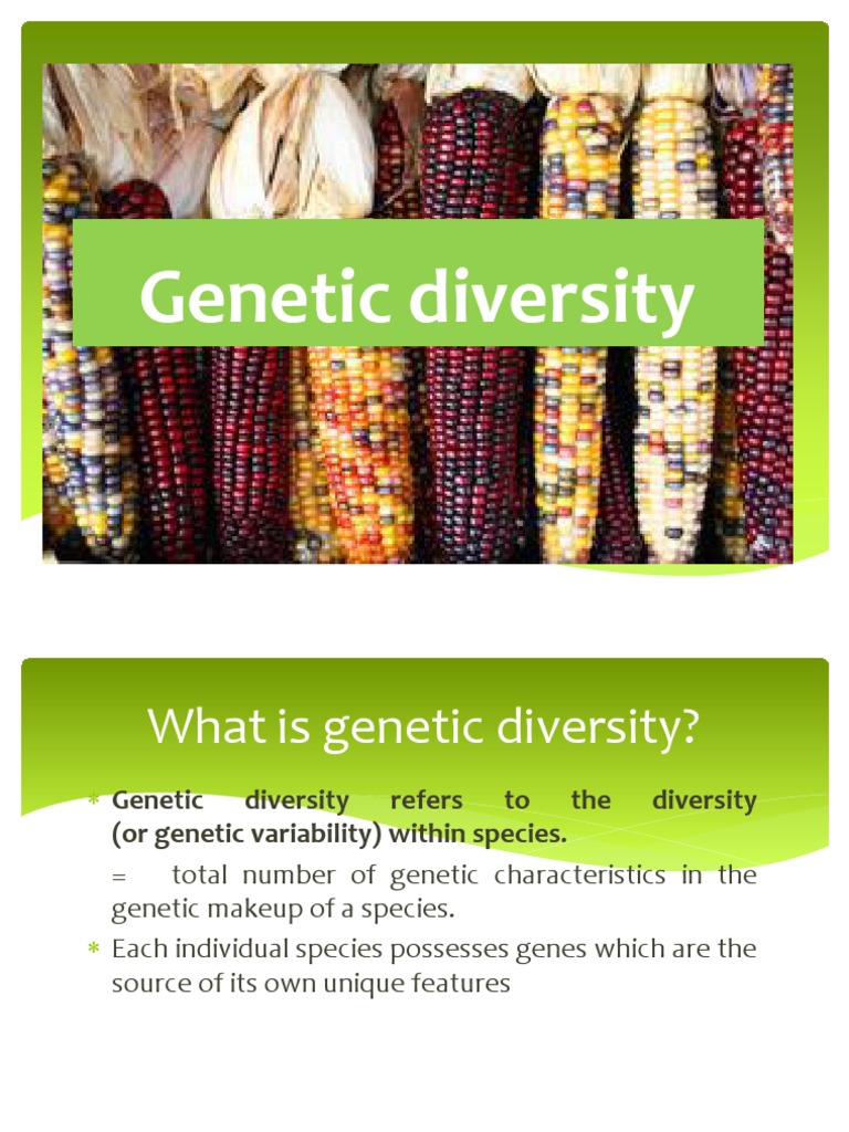 W2 Genetic Diversity | PDF | Genetic Diversity | Genetic Variation
