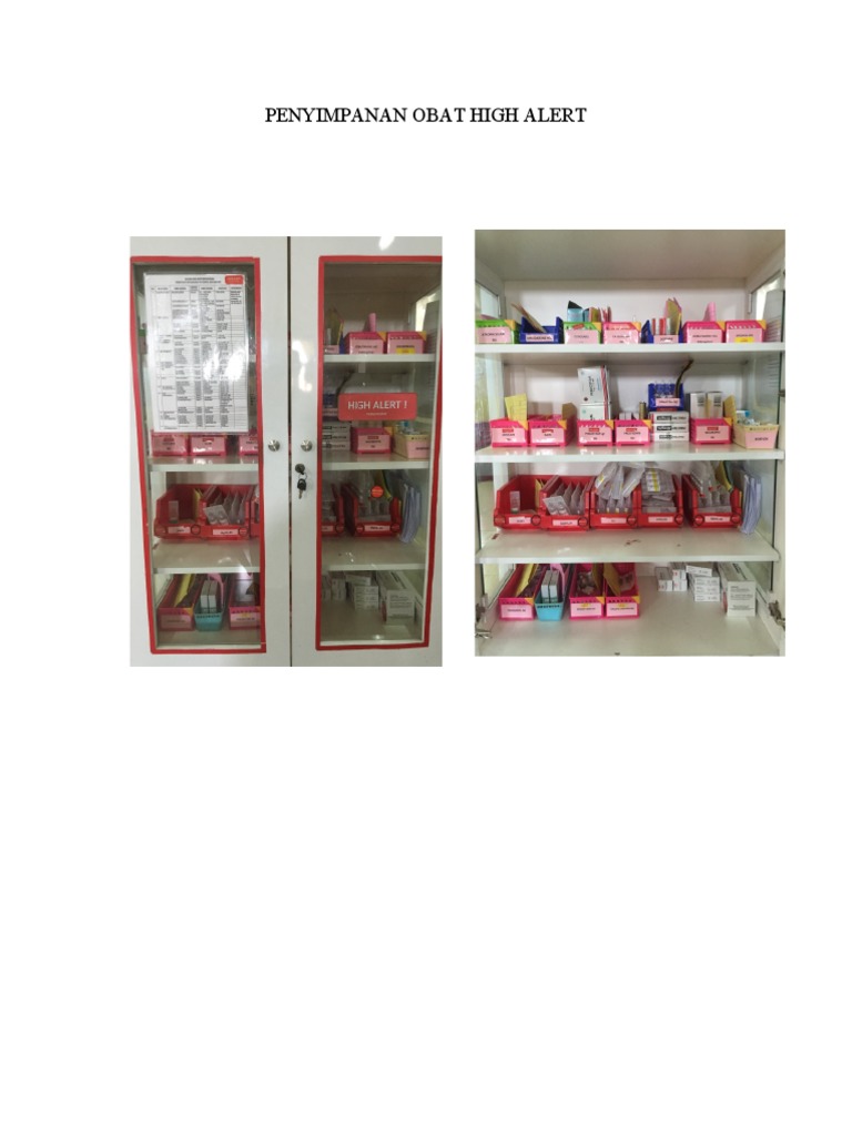 Bukti Penyimpanan High Alert | PDF
