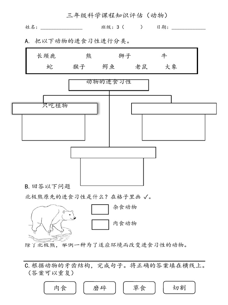 Year 3 Sains Animal | PDF
