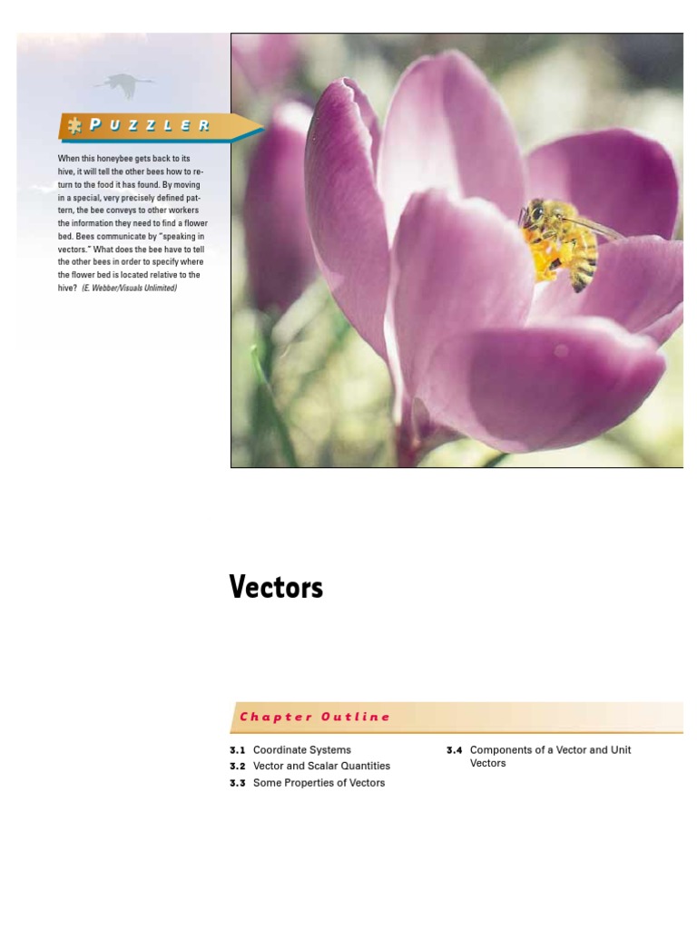 02 Vector Algebra Pdf