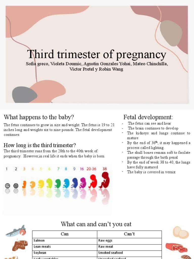 Third Trimester of Pregnancy | PDF