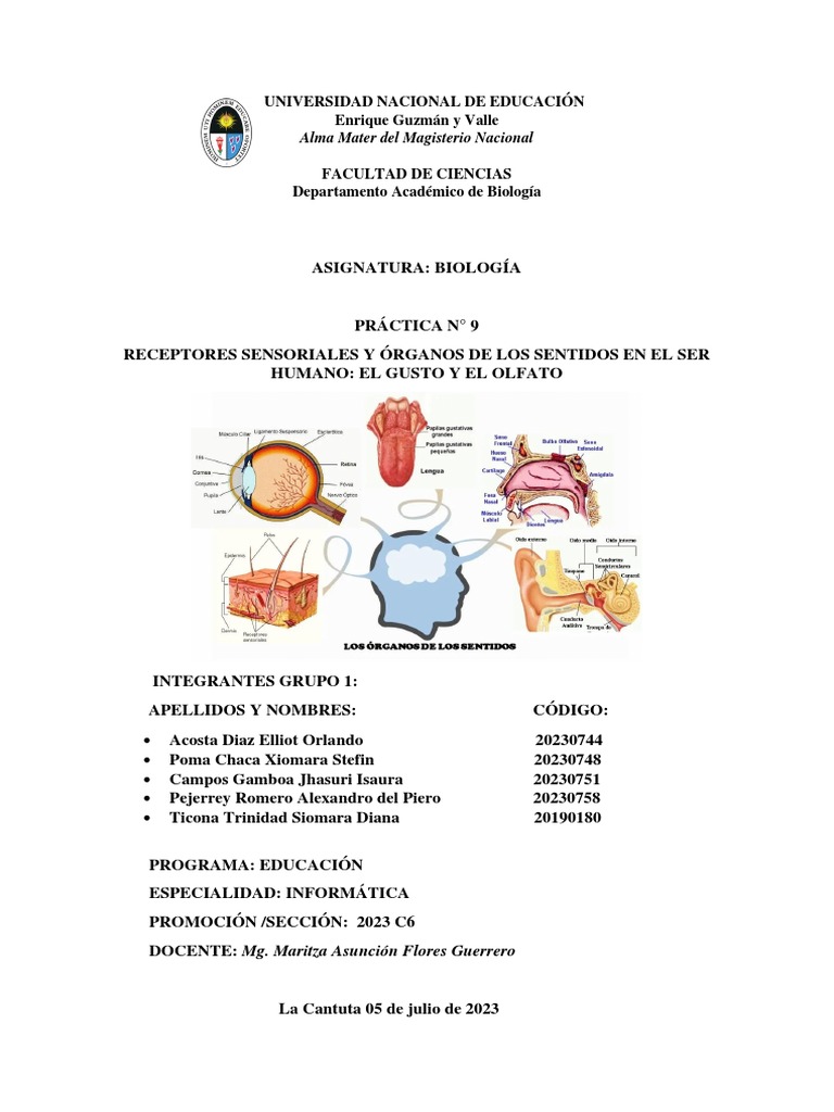 Práctica N°9 Receptores Sensoriales y Órganos de Los Sentidos en El Ser ...