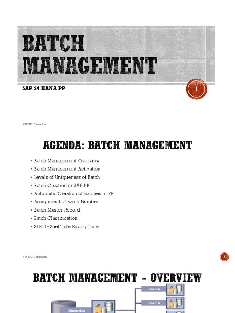 Batch Management in S4 Hana | PDF | Shelf Life | Business