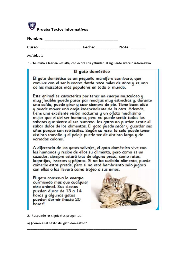Prueba Textos Informativos | PDF | Artes del Lenguaje y Comunicación ...