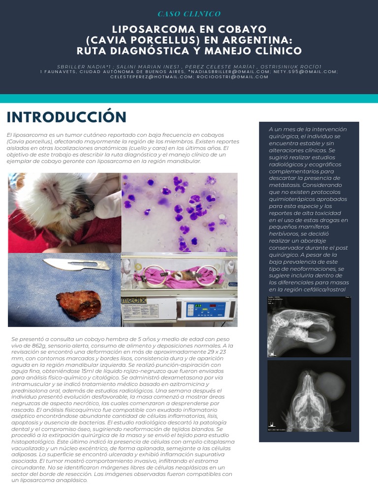 Liposarcoma en Cobayo: Diagnóstico y Manejo | PDF | Conejillo de indias ...