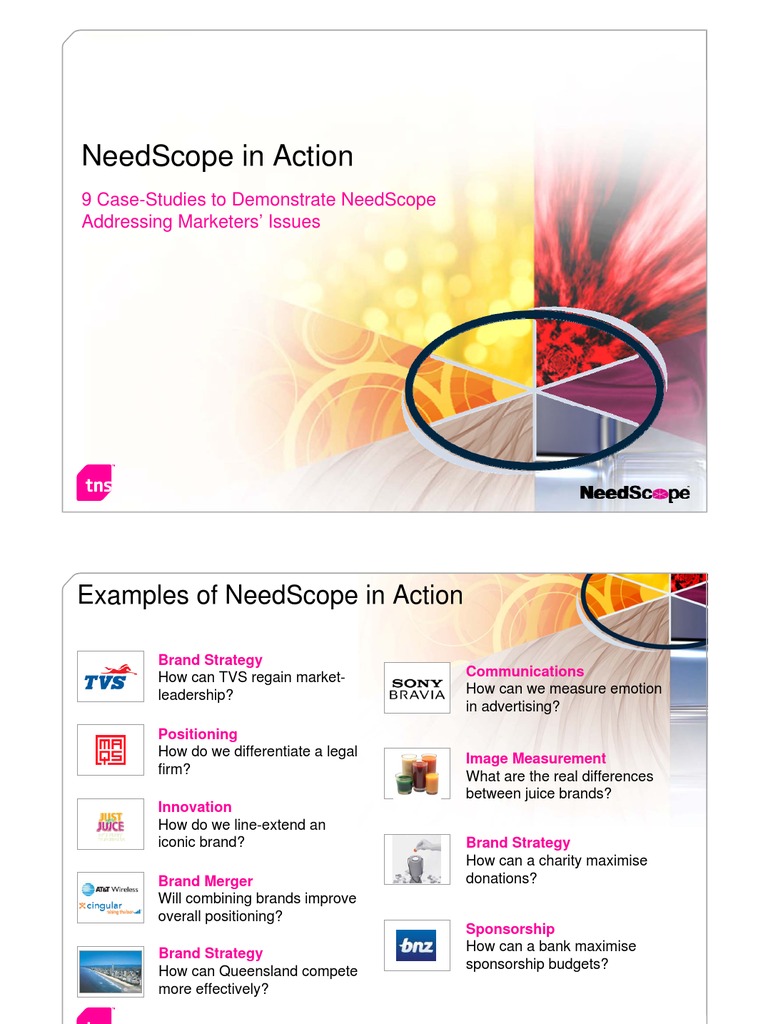 TNS Case Studies NeedScope April2011 | Brand | Mergers And Acquisitions