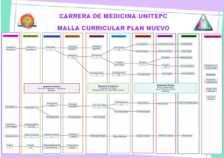 Malla Curricular Nueva Medicina | PDF