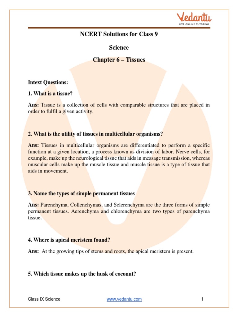 NCERT Solutions For Class 9 Science Chapter 6 - Tissues - . | PDF ...