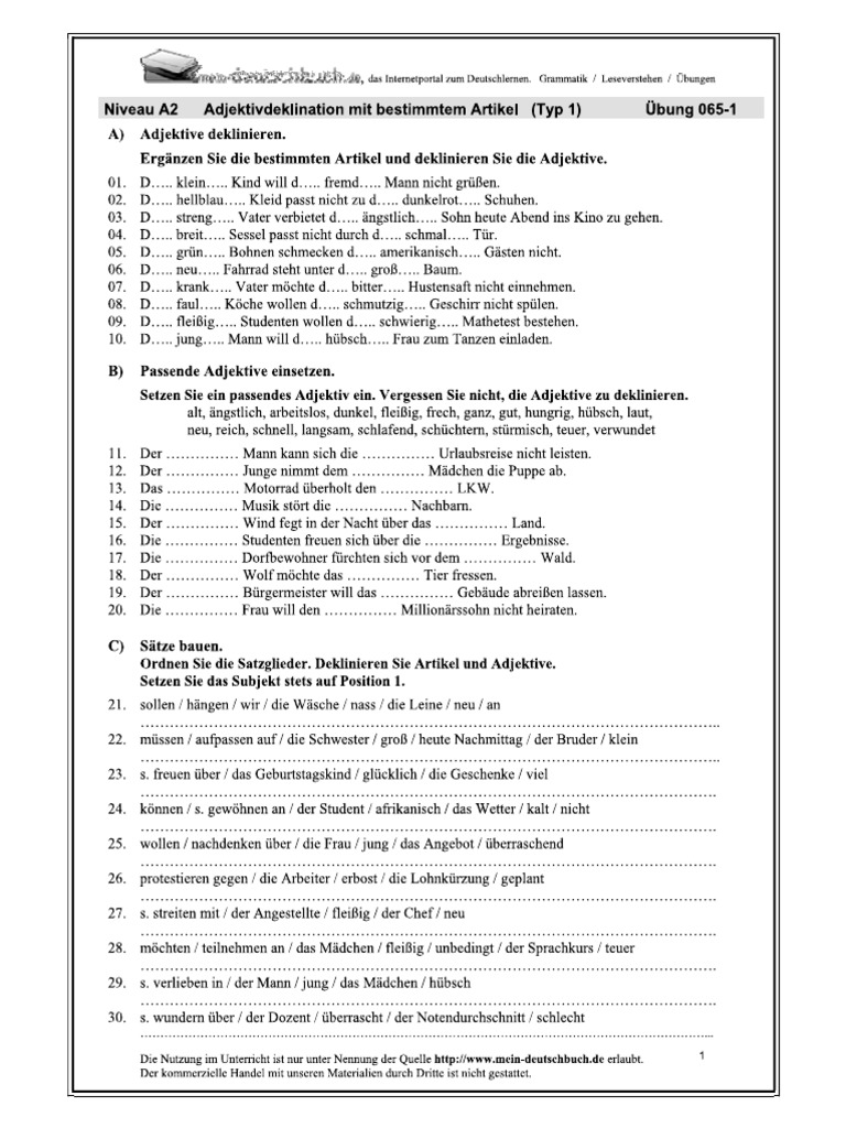 Adjektivdeklination Übungen | PDF