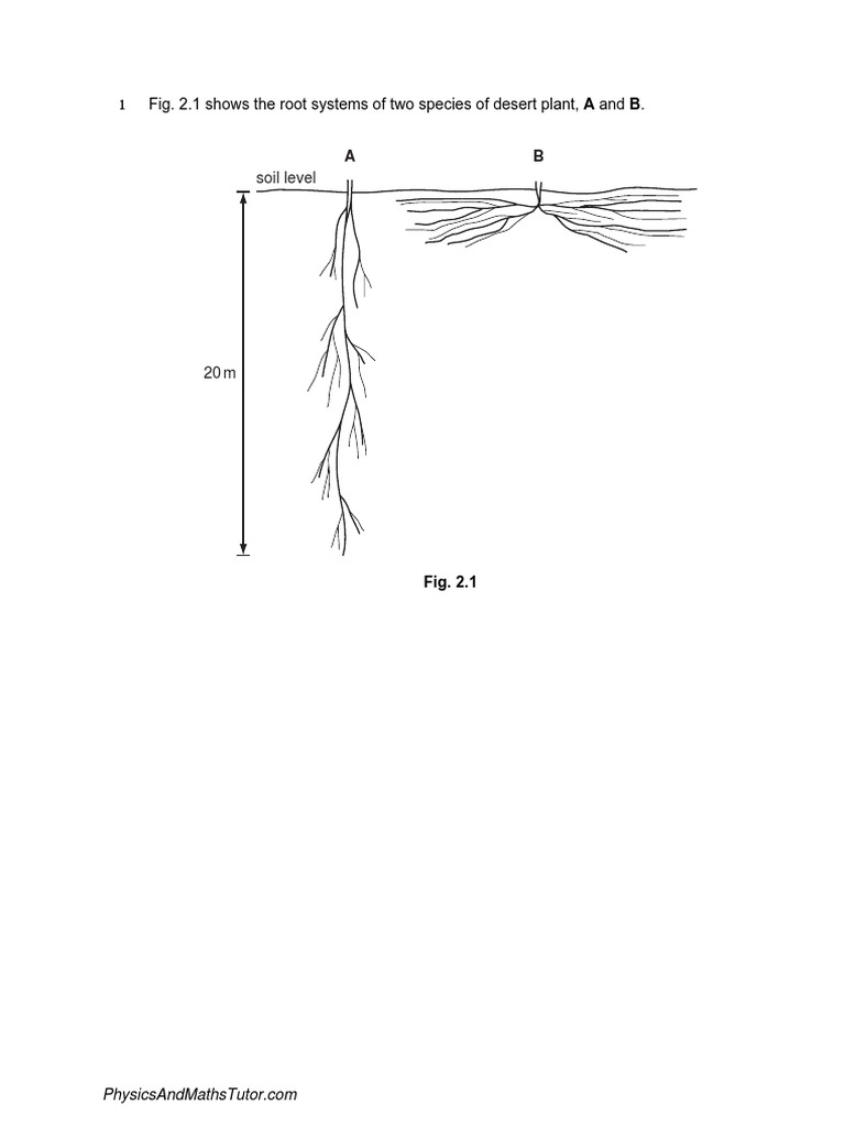 Inheritance 5 Qp Pdf