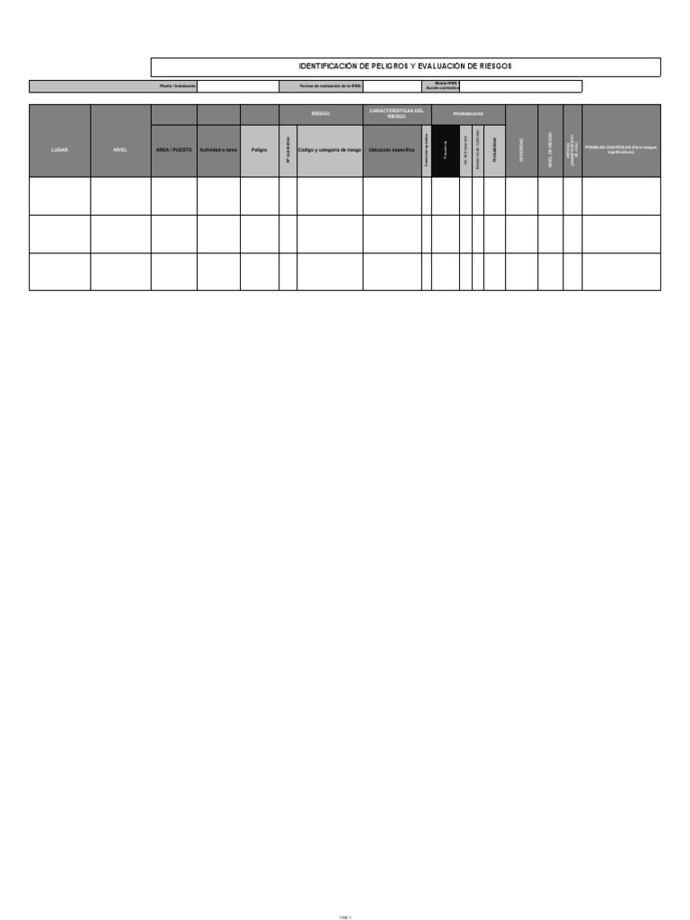 Matriz Iper Bioseguridad Modelo | PDF