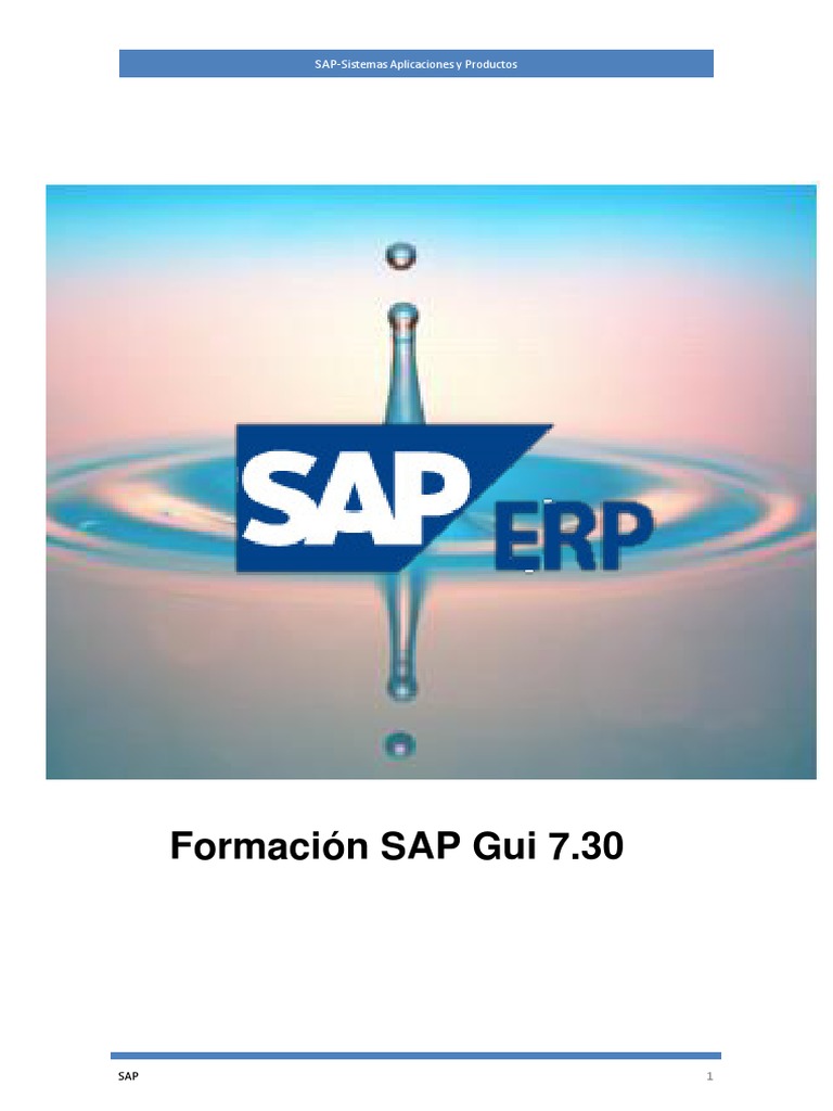 Manual SAP | PDF | Planificación de recursos empresariales | Software