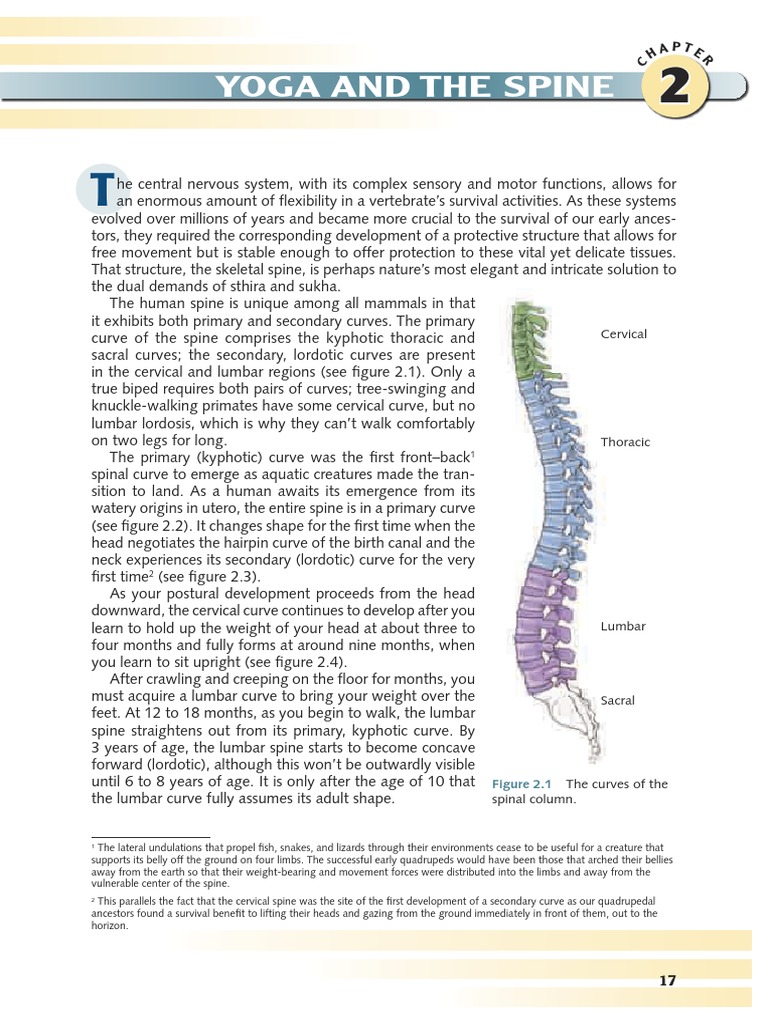 01 - Vertical Spine & Movements | PDF | Self-Improvement | Wellness